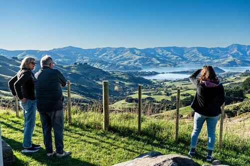 Akaroa Swimming with Dolphins Tour Booking Form – Canterbury Trails